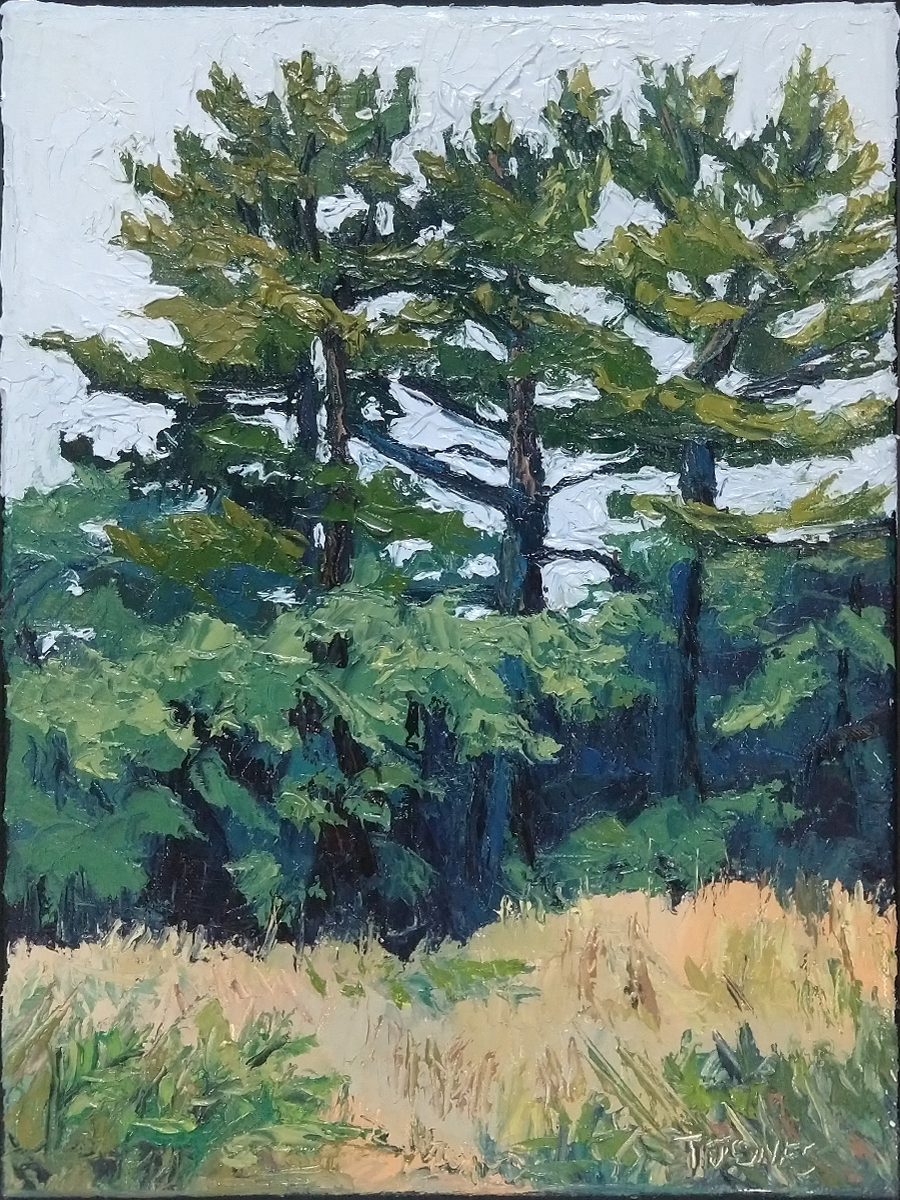 Standing Pines at Cushman Preserve – Tamara Jones
